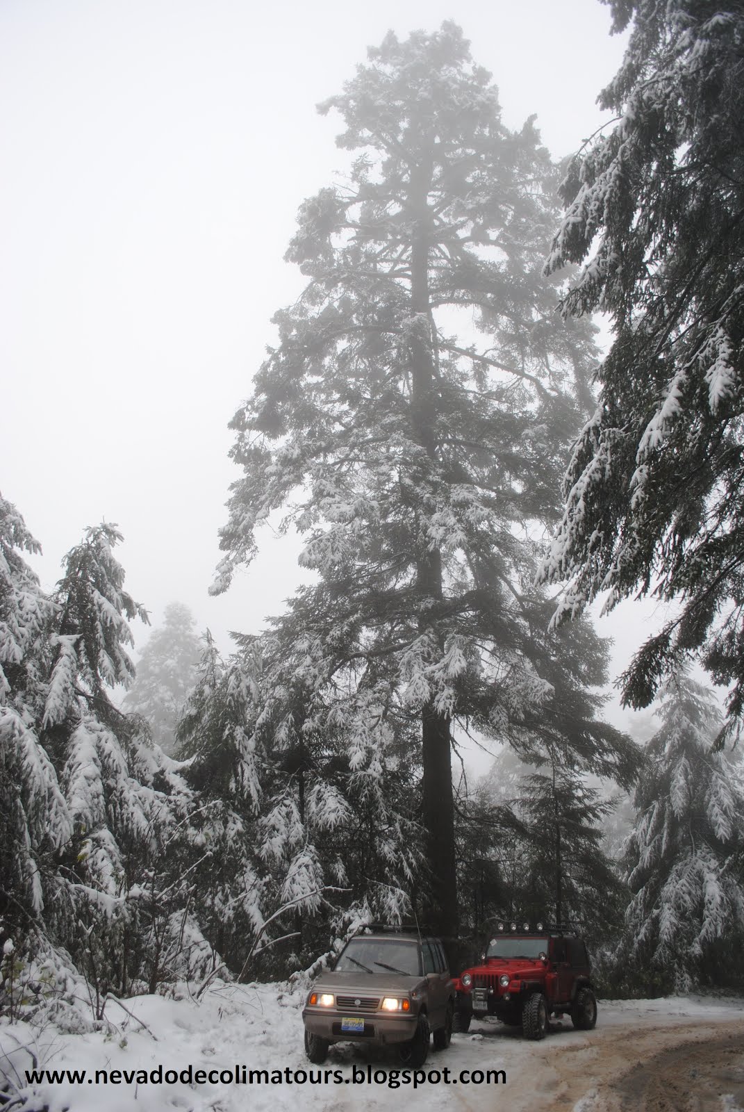 Nevado de Colima Tours