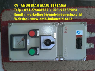 General Explosion Proof: Jual Local Control Station Unit Explosion ...