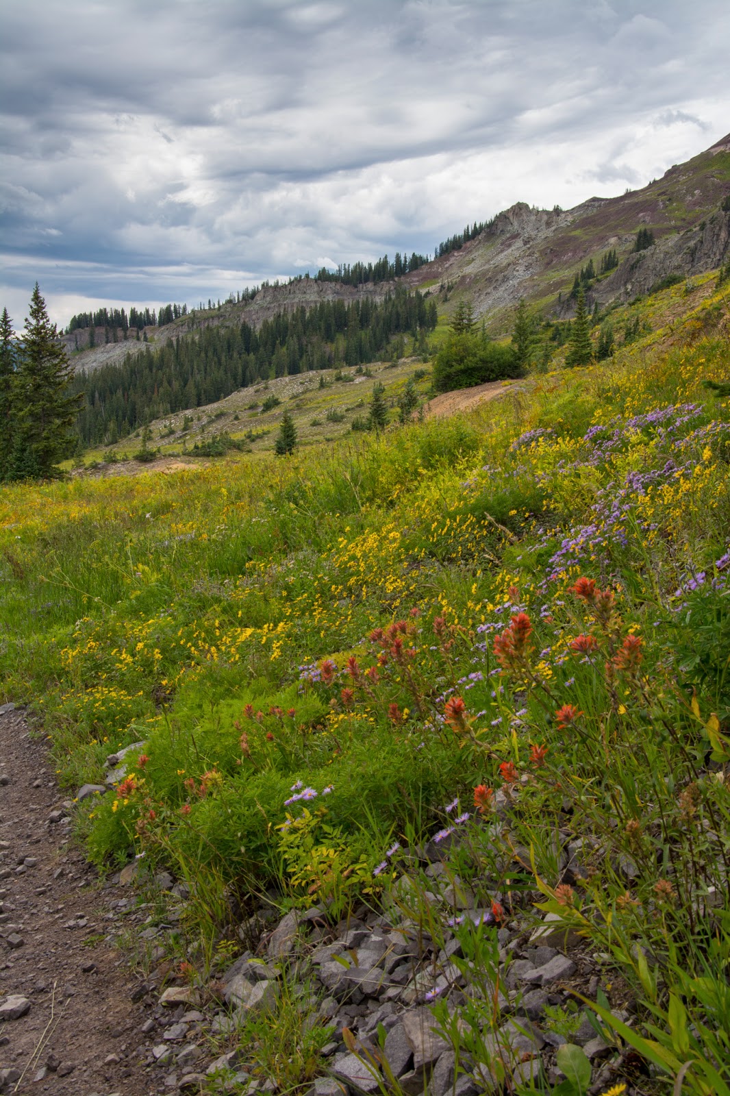 A Tree Falling: Ruby Peak