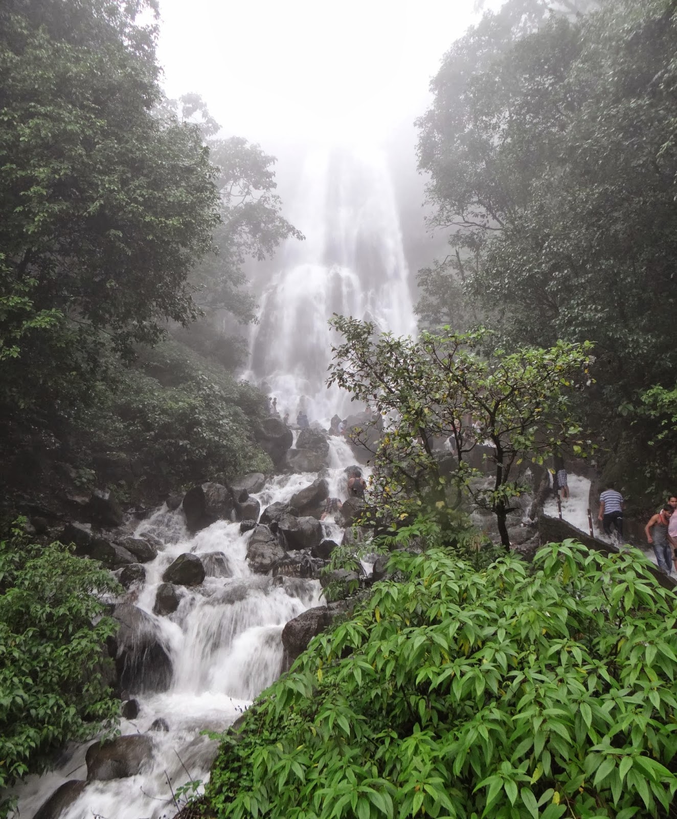 Explore Weekends: Amboli Ghat Waterfall, Maharashtra