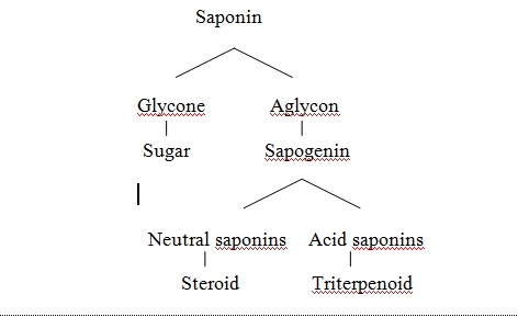 CHEMISTRY: SAPONIN