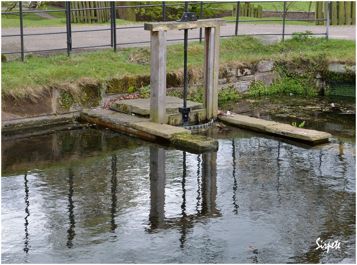 Sirpete's Pic's: Dunham Massey 12.