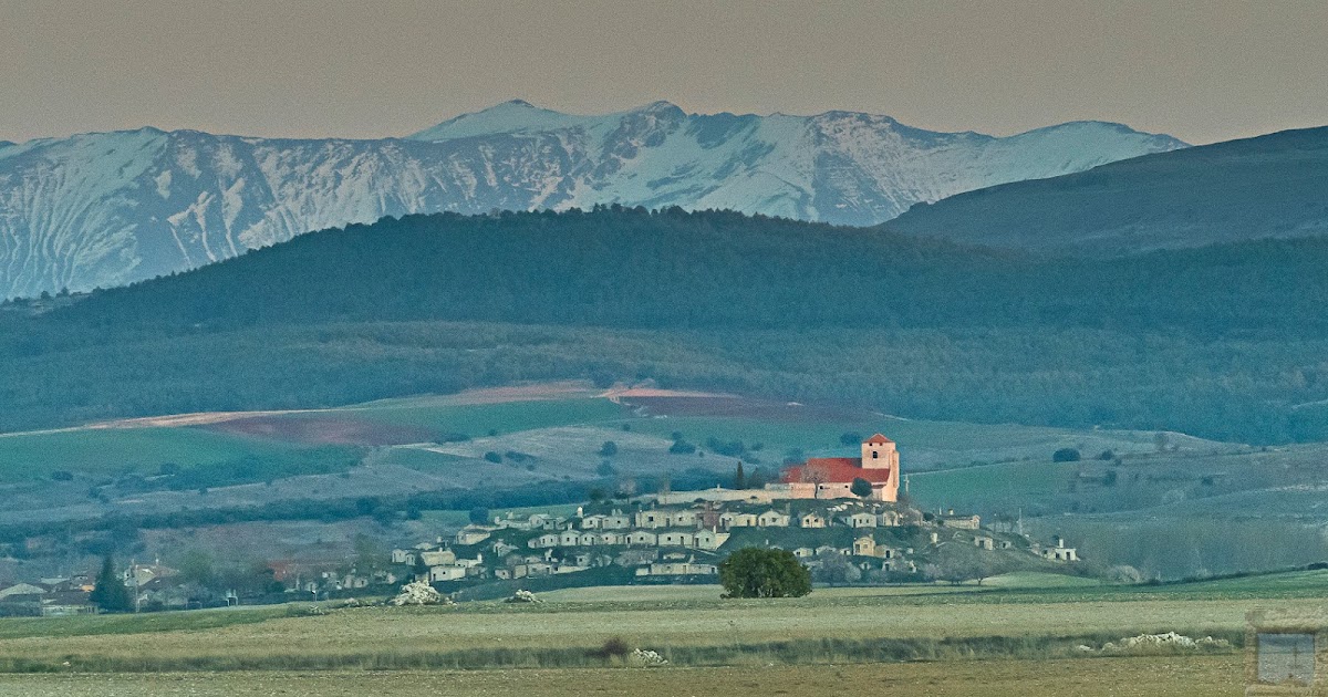 fuentemolinosblog: El Cotarro de Moradillo de Roa logra profesionalizar ...