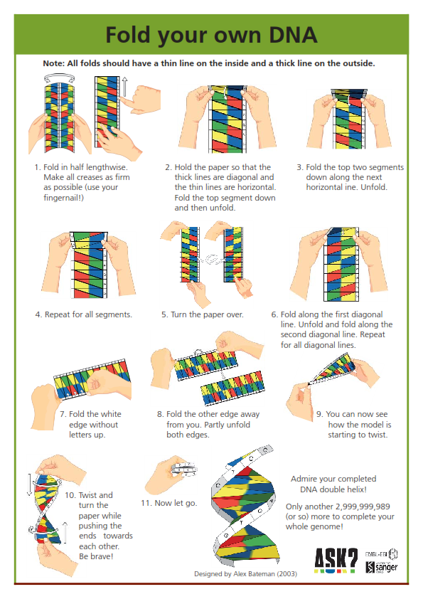 Χειροτεχνίες: DNA Origami
