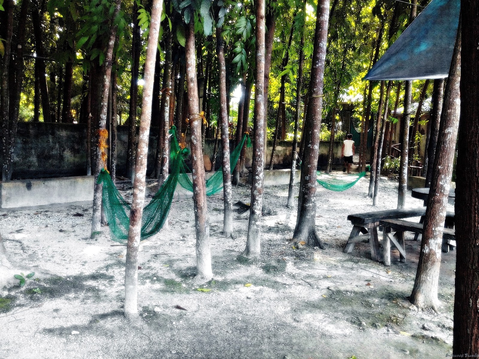 Introvert Travels: Badian's Lambug Beach and Kansanto Spring