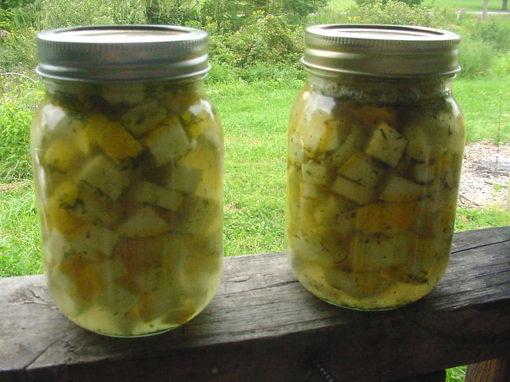 Gardening along the creek...: Lacto Fermented Swiss Chard Ribs