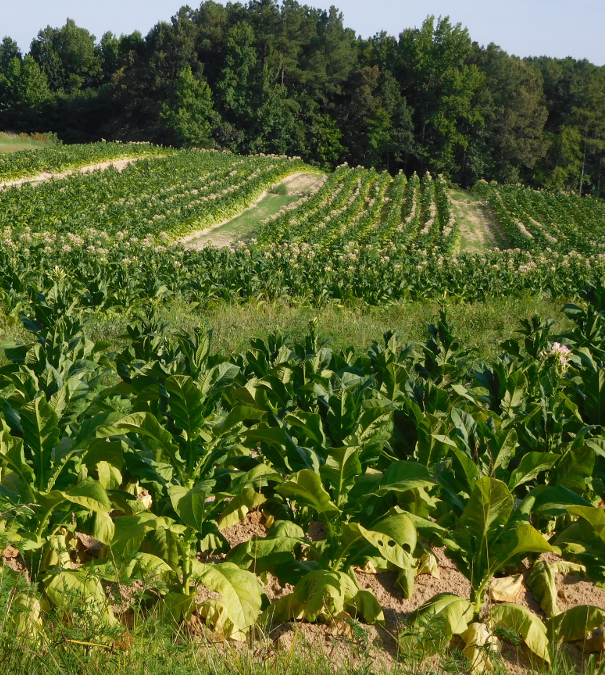 Chaptre, The 4th - Less an Officer and More a Gentle Mann