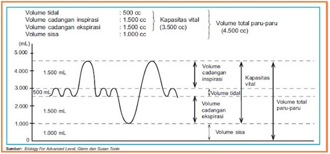 BIOLOGI GONZAGA: February 2012