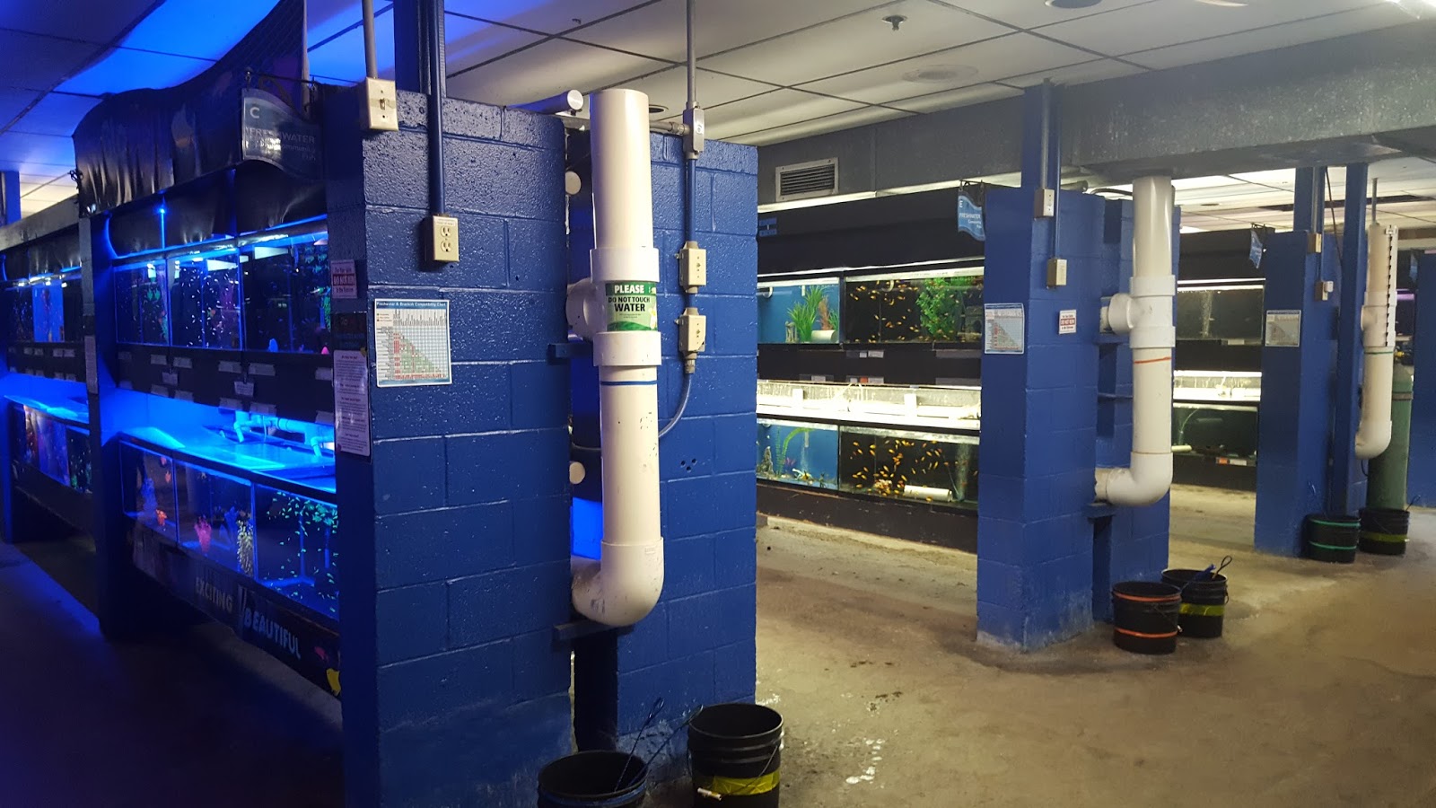 That Fish Place (Lancaster, PA)