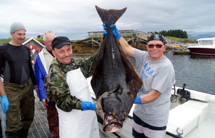 Wędkowanie w Norwegii: Halibut - ryba marzeń