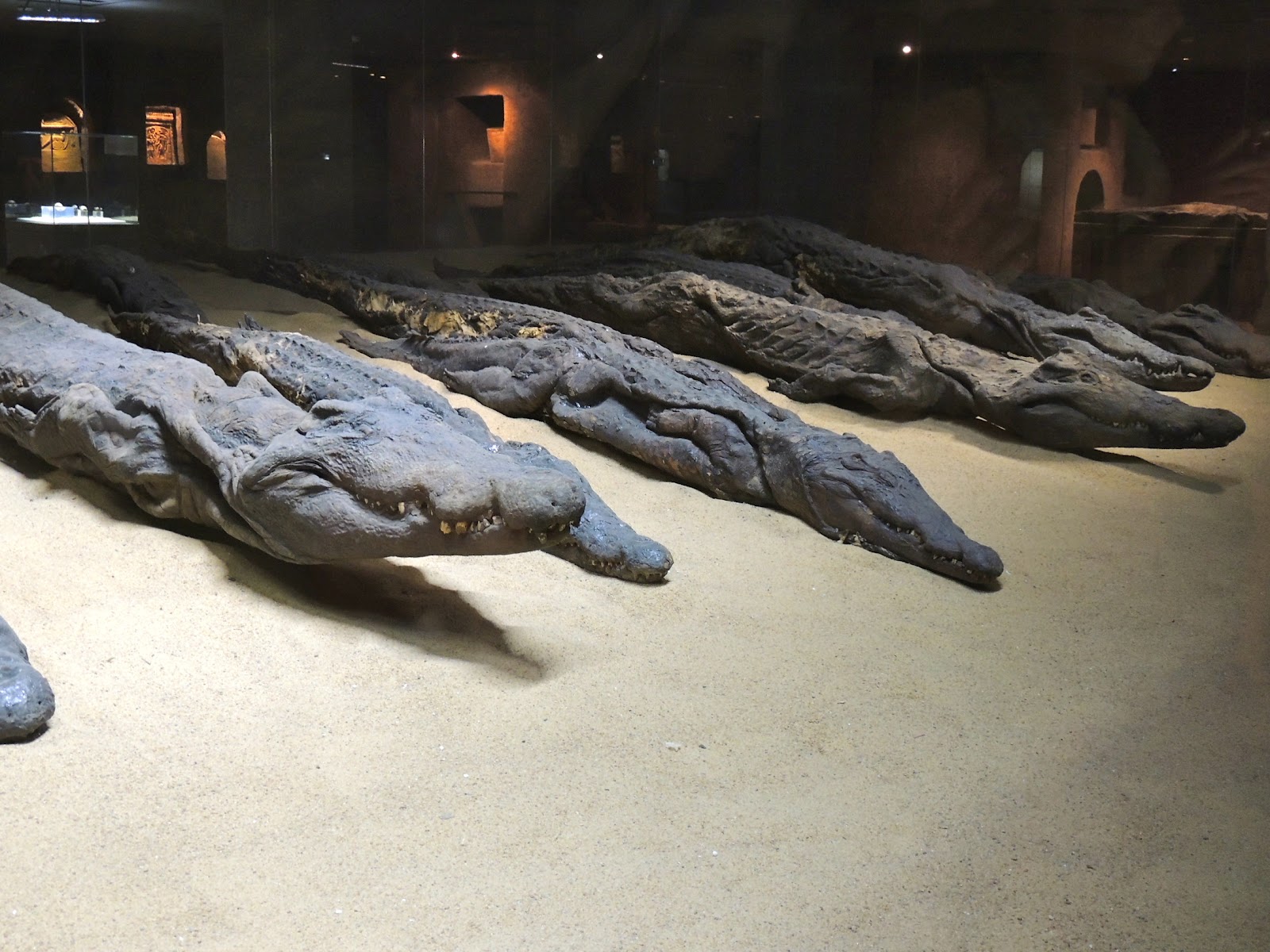 Memories of a Modern Mommy: Egypt