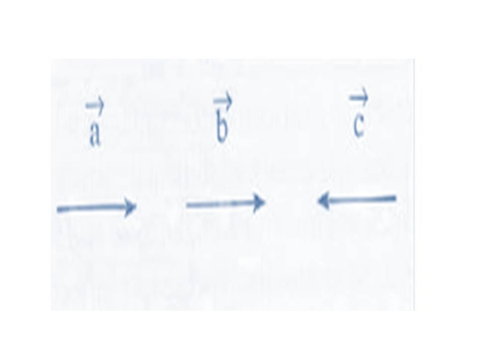 FÍSICA BÁSICA DEL PROFE DIEGO: VECTORES