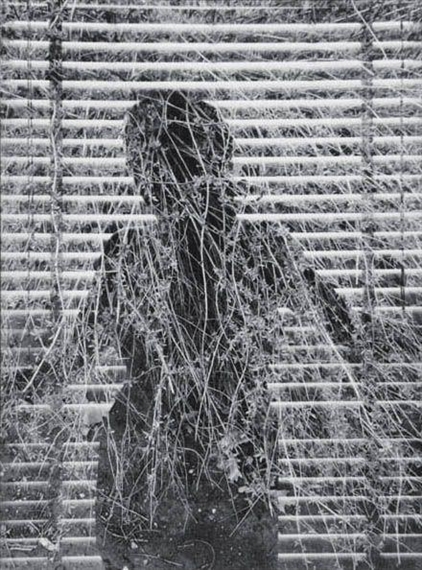 DRAGON: Harry Callahan / One of the most influential photographers