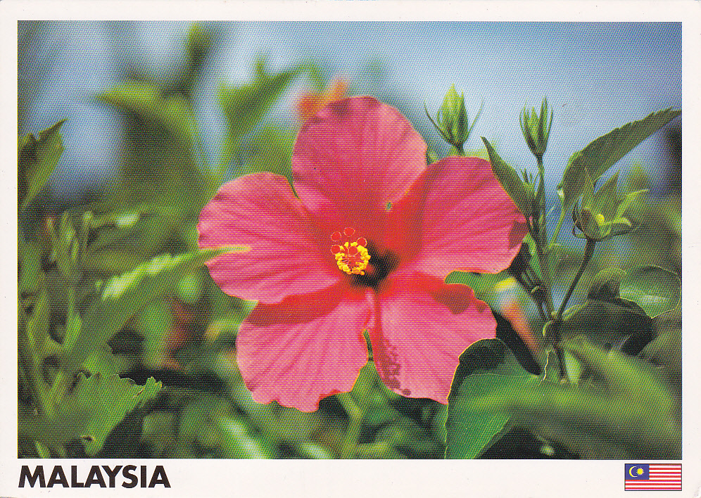 Postcard A La Carte: ASEAN - 50th Anniversary National Flower Stamp