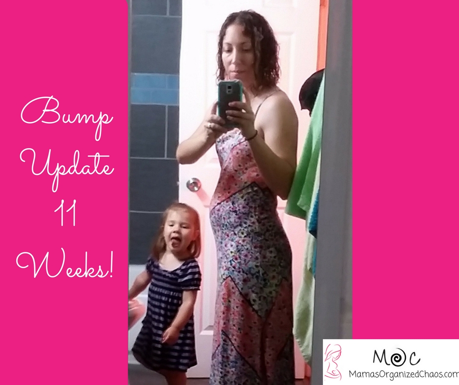 Baby V #2 Bump Update- 11 Weeks - Mama's Organized Chaos