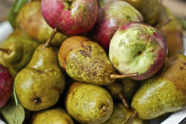 Roasted pear and cardamom butter | Yankee Kitchen Ninja