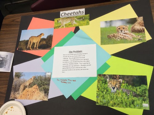 Cheetah Habitat Project For Kids