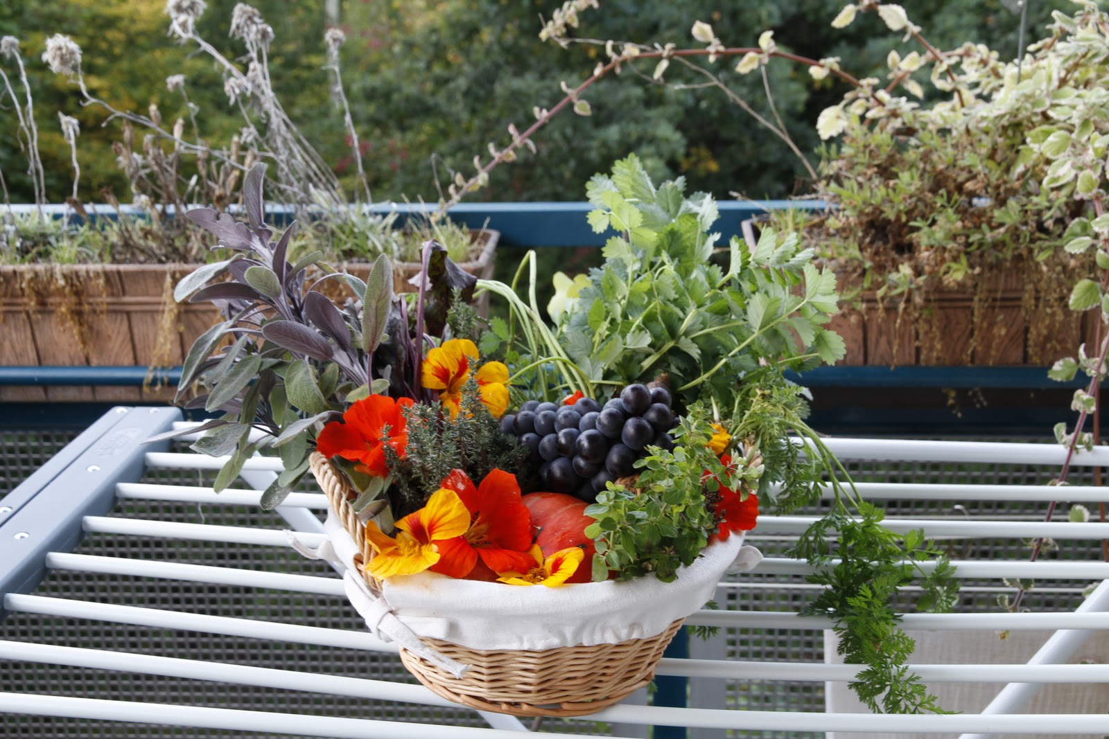 Paradiesweg: Erntedank