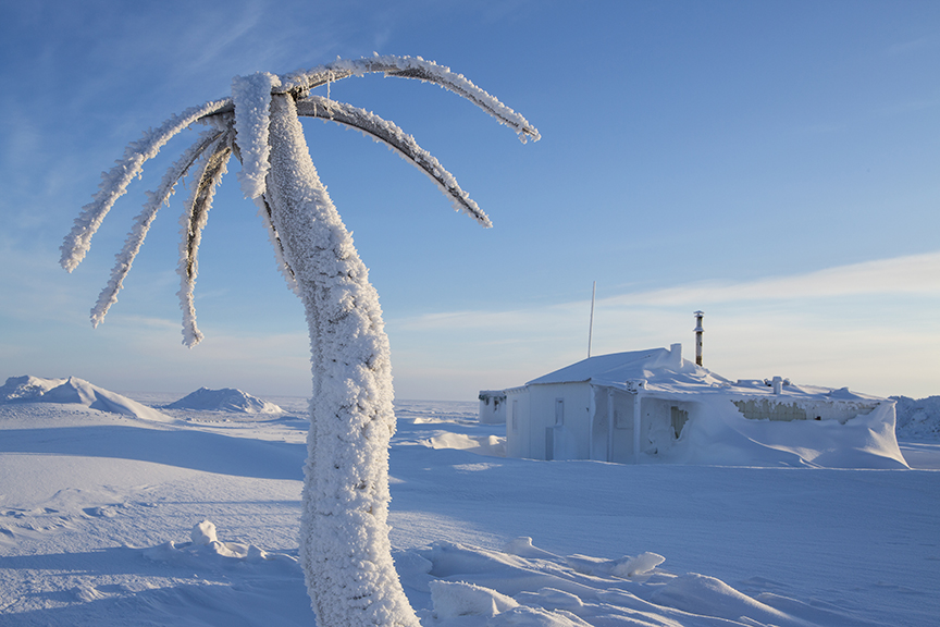 MyPhotoPics: Utqiagvik, Αλάσκα