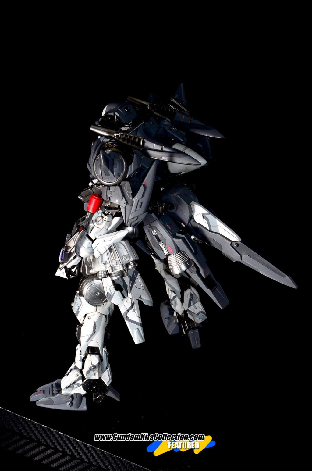 Custom Build: MG 1/100 ESF GNX 606T Dominator