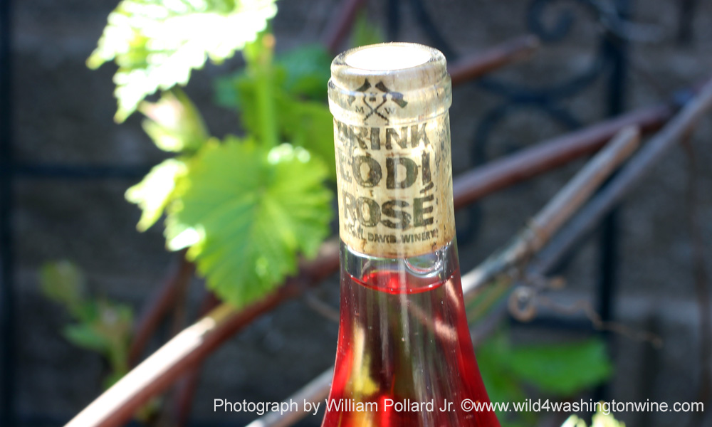 Michael David Winery 2017 Ancient Vine Cinsault Rosé | Lodi Appelation