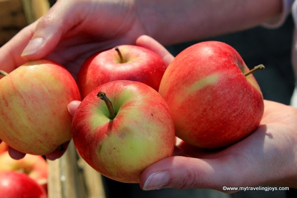 BioBazar: From Farm to Table in Warsaw ~ My Traveling Joys