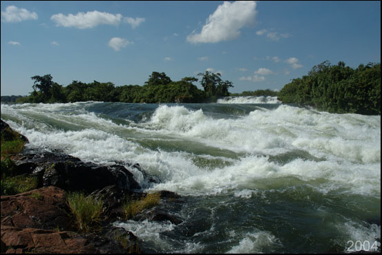 Discovery on Safari: Bujagali Memories