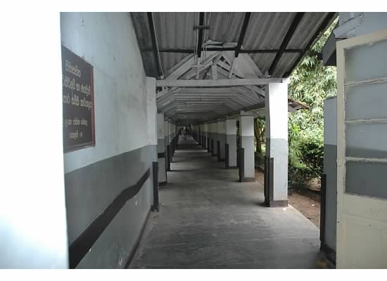 Colombo Medgrads 1962: My memories of the General Hospital Colombo and ...