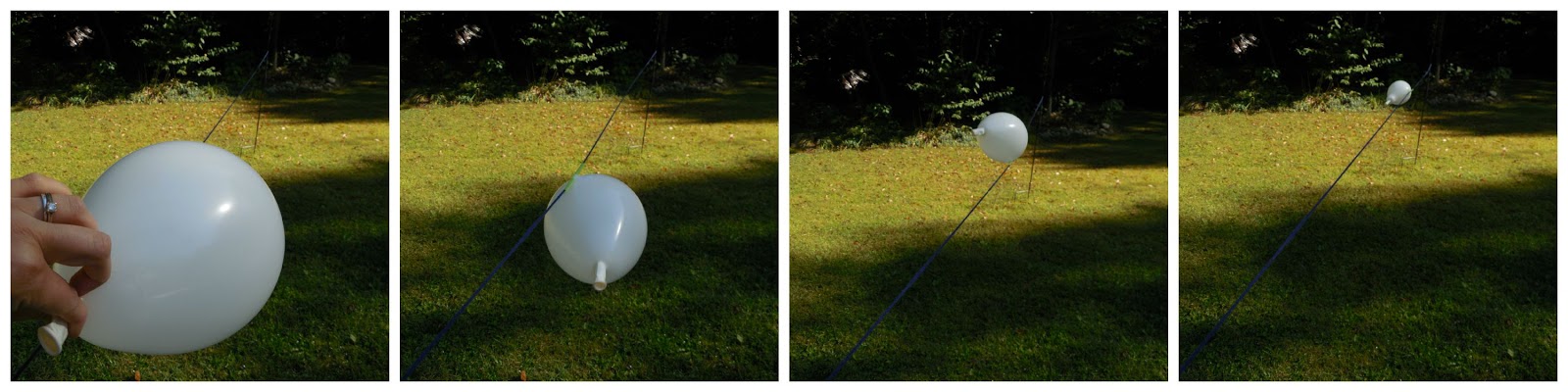 Share it! Science : Saturday Science Experiment