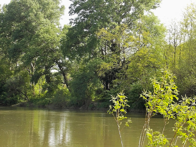 U mom Loncu: Južna morava, selo Braljina-1.maj