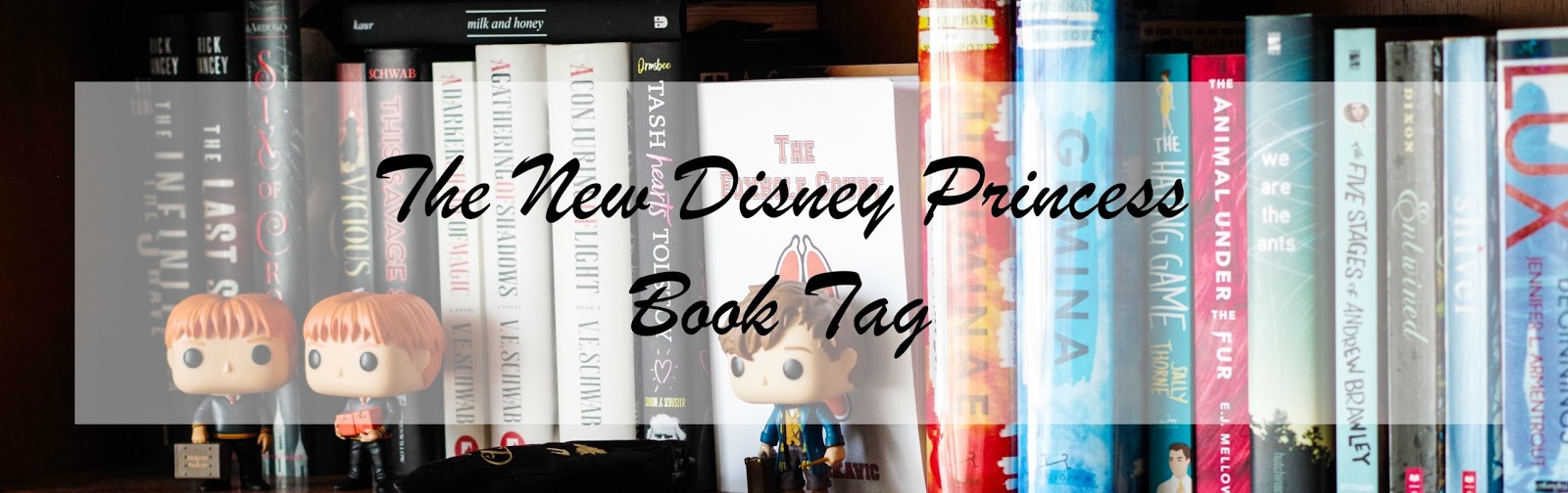 The New Disney Princess Book Tag