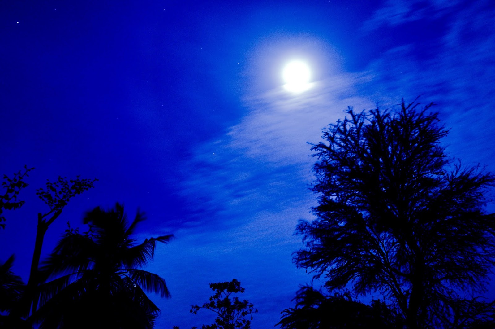 Paragraph-- A Moonlit Night - academiclearningwisdom