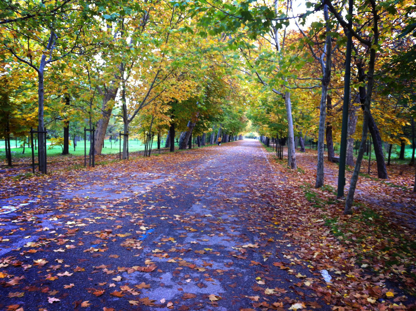 RUTAS PITUFAS: anillo verde ciclista de Madrid
