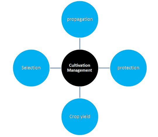 4 Best Management Practices In Cultivation - Agriculture India Farm ...