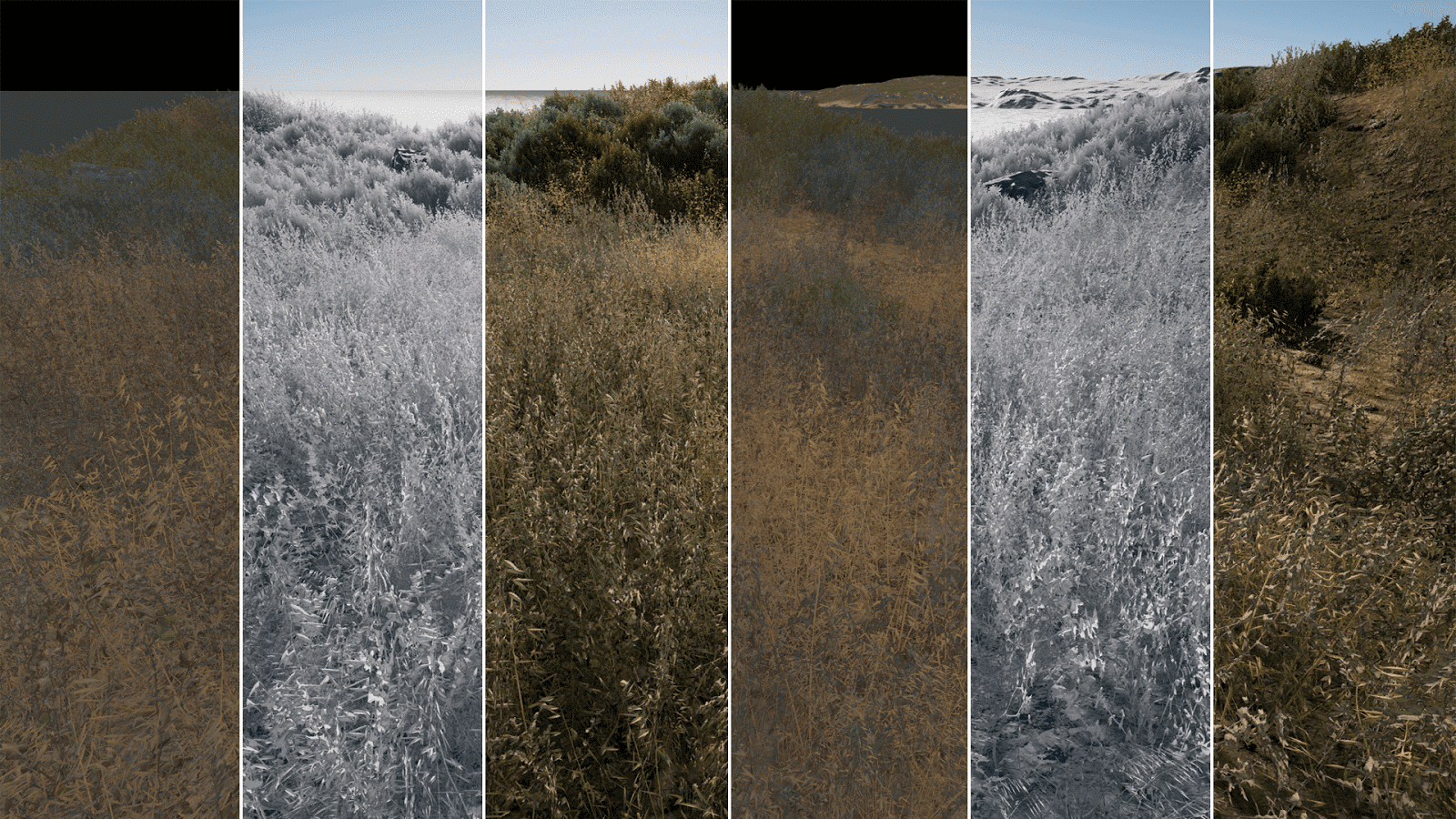 Unreal Engine Photorealistic Landscape Pack 4 | Computer Graphics Daily ...