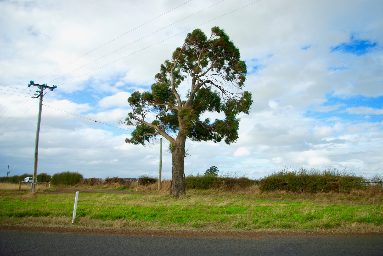 No. 392 - Butleigh Hill Methodist Church at Cressy