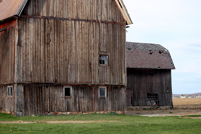 Through Carol's Lens: Barn in Bridgewater Township