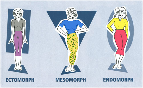 Somatotyp - jaki masz typ budowy?