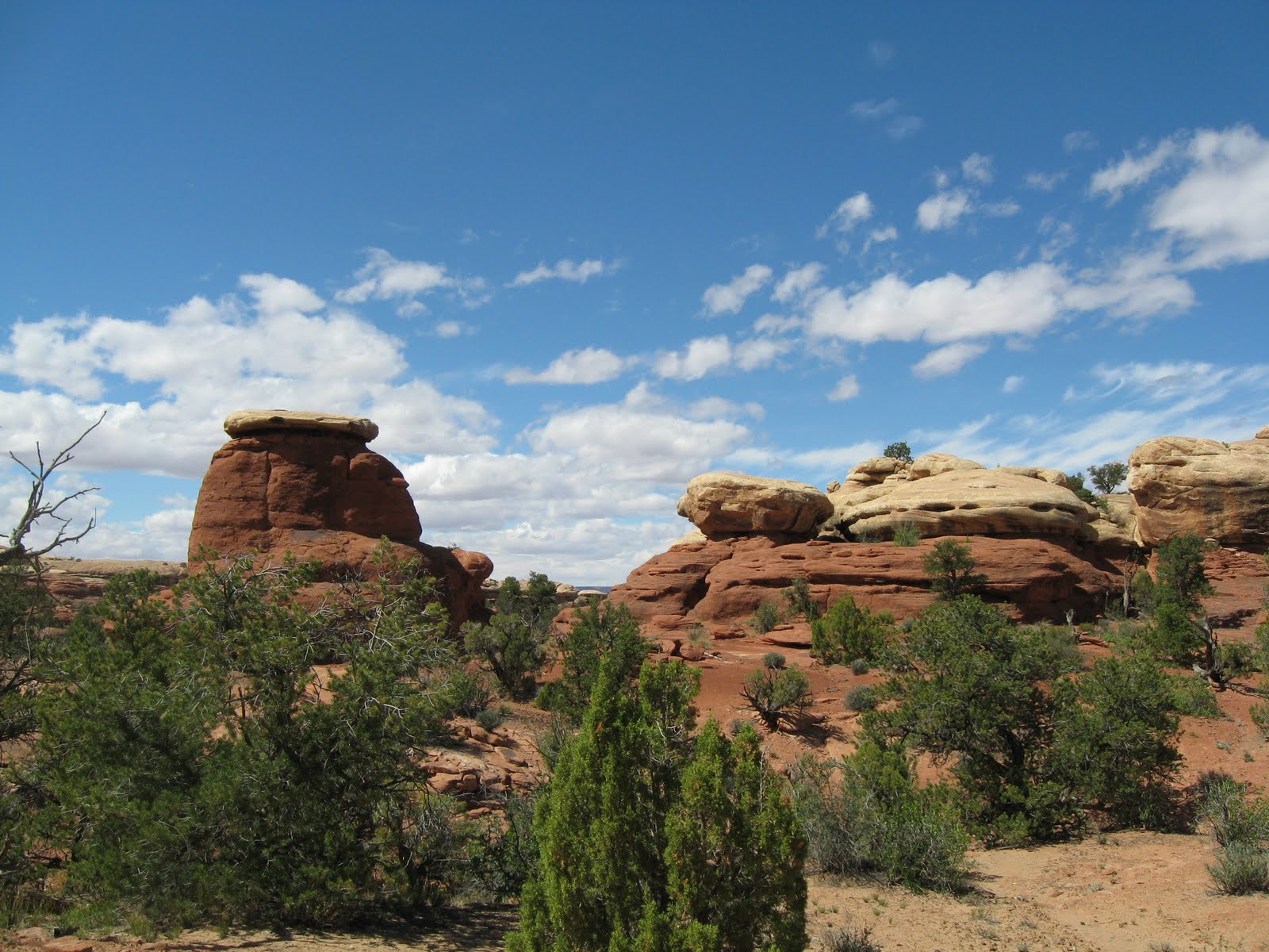 The Cancellation Station: Canyonlands Nat'l Park, Part II: The Needles ...
