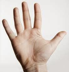 Palmistry Guide: The seven types of hands (PART 1)