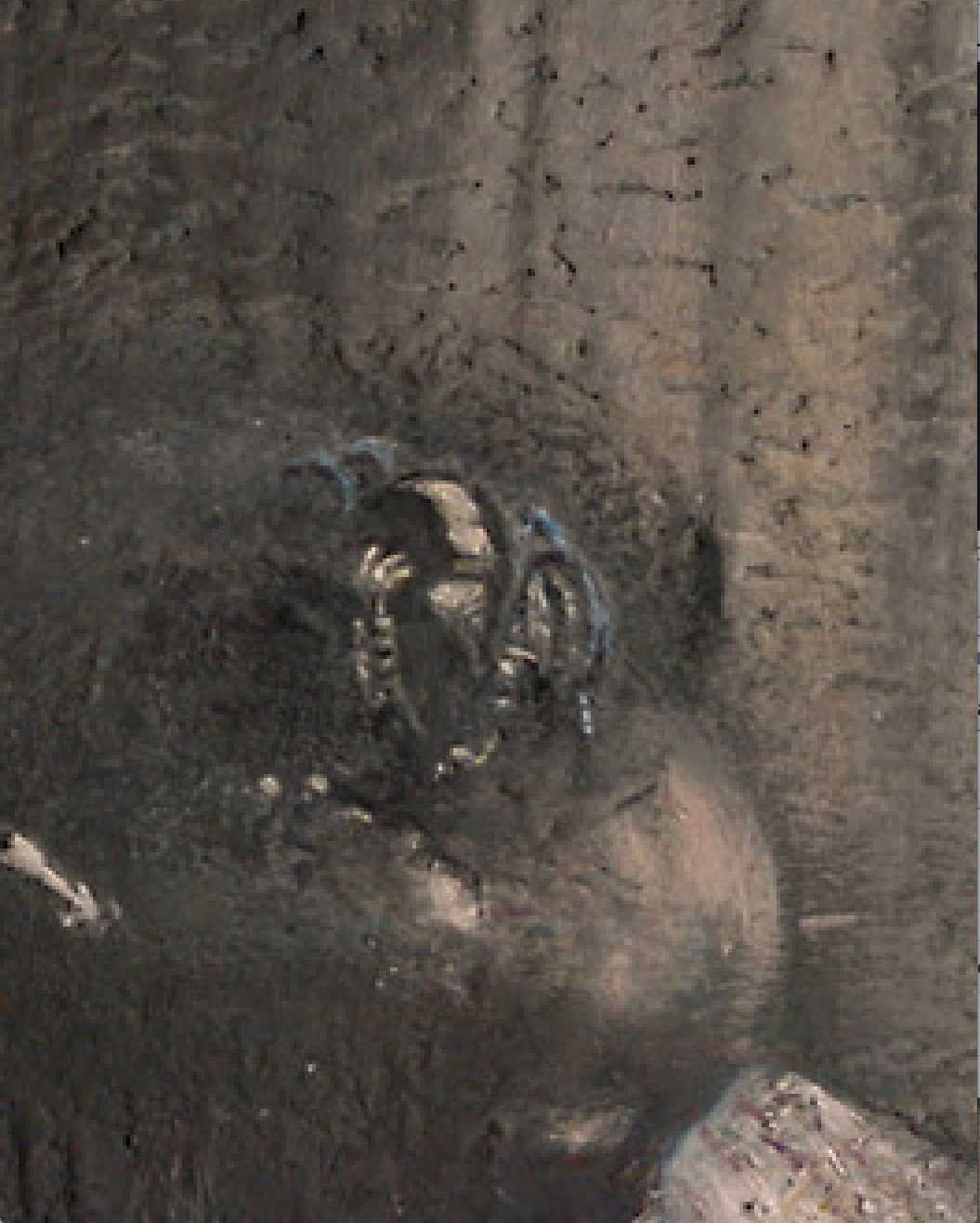 Alien Explorations: Alien: Francis Bacon vs Alien vs Eraserhead vs Shivers