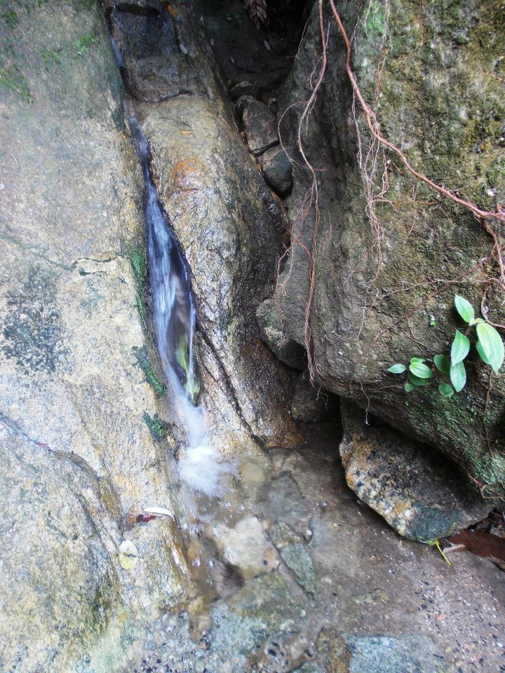 KUALA SEPETANG ECO TOURISM Matang Mangrove Forest Reserve Tour, Bird ...