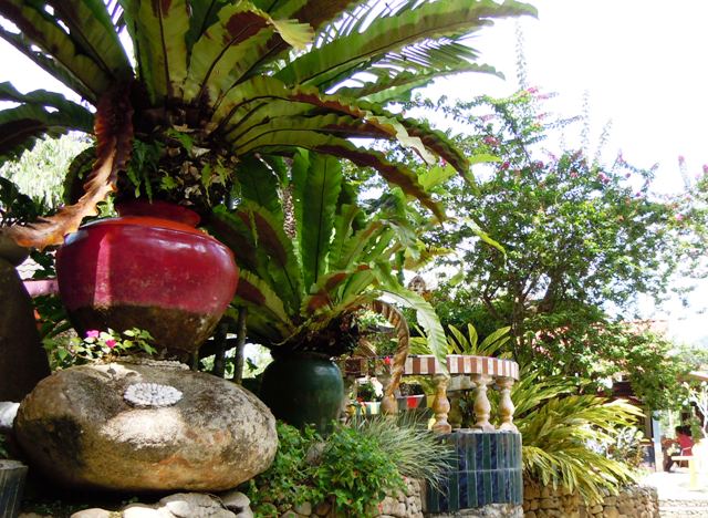 MPV LANDSKAP DAN NURSERI: TIP MEMILIH PASU (BEKAS) TANAMAN HIASAN