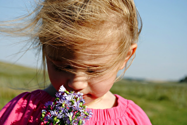 Little Prairie Baby: Alberta Wind