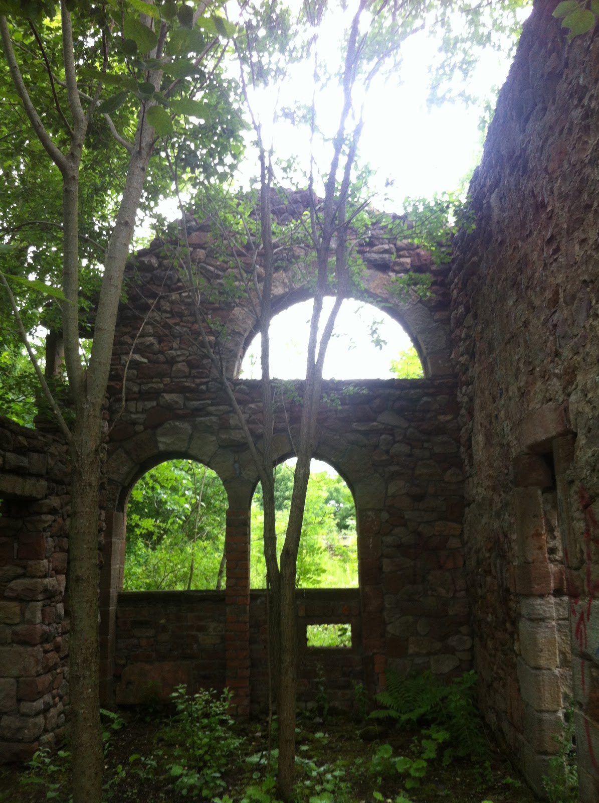 Visions of a Madman: In Ruins: Abandoned Houses in Carmyle