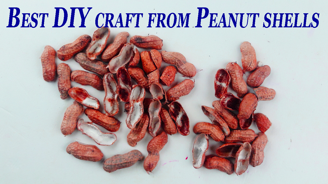 Origami VideoTutorials: Amazing craft from Peanut (groundnut) shells ...