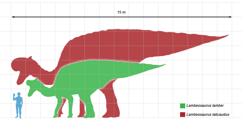Extinct Animal of the Week: The Many Heads of the Lambeosaurus