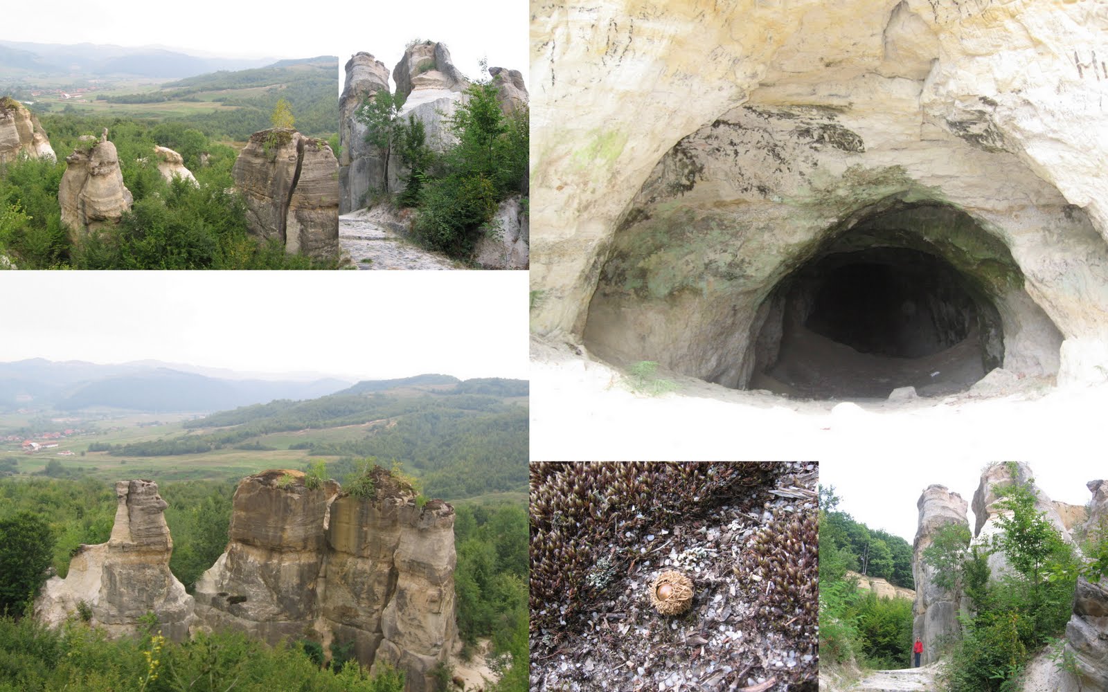 Gradina Zmeilor si Gradina botanica (jud. Salaj) | B(âr)logul domniţei R