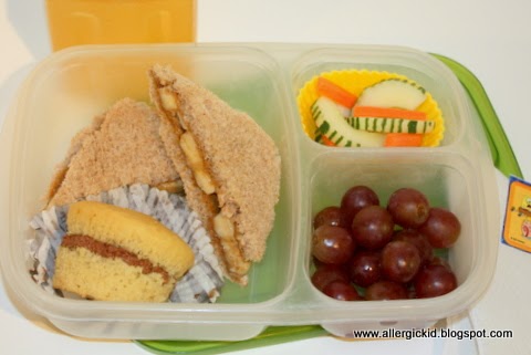 The Allergic Kid: Double Sammy Lunchbox