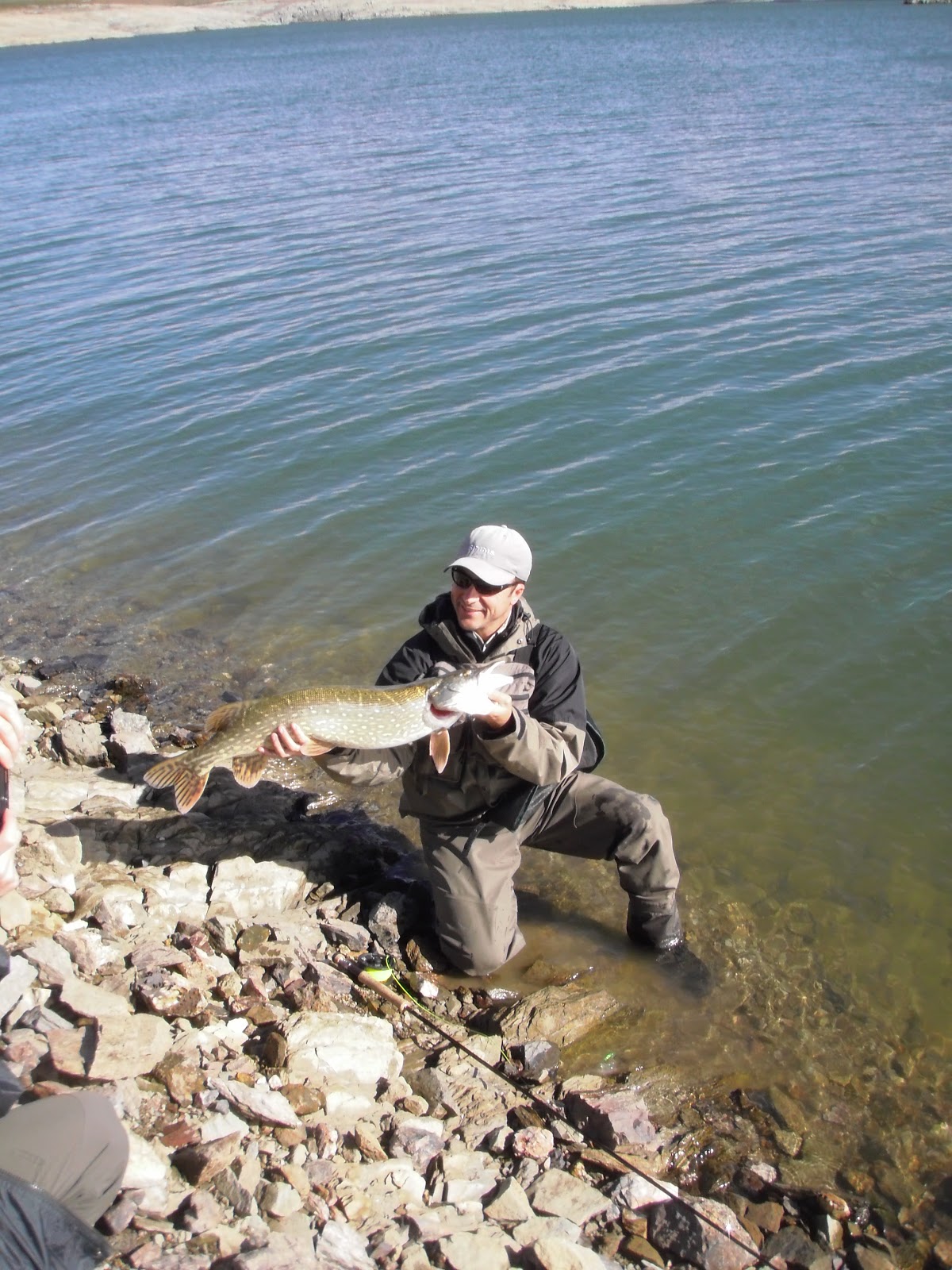 ONLY FLY FISH: LUCIO/PIKE/ESOX LUCIUS